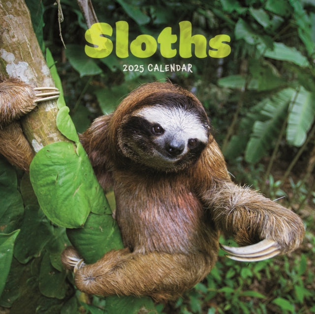 Sloths Square Mini Calendar 2025 – EMKA