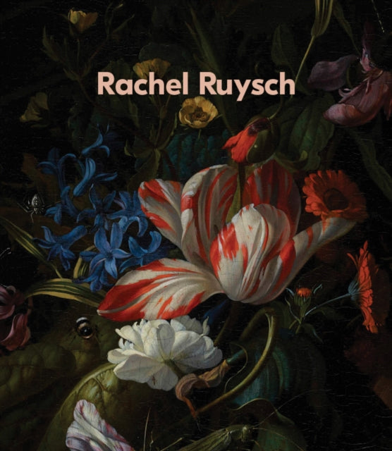 Rachel Ruysch: Nature into Art – EMKA