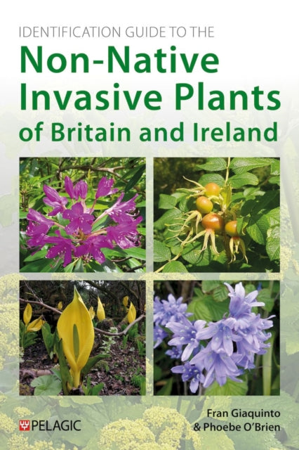 Identification Guide to the Non-Native Invasive Plants of Britain and – EMKA