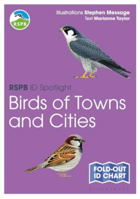RSPB ID Spotlight - Birds of Towns and Cities – EMKA